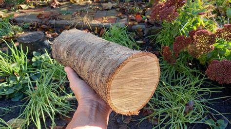 Деревянная бочка из вишни Diy Вишневая бочка Как сделать бочку из дерева своими руками Youtube