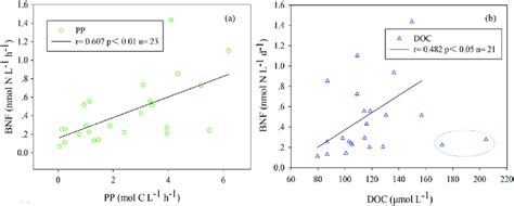 Correlation Between N 2 Fixation Rates Bnf Primary Productivity Pp