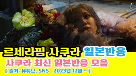 일본반응 르세라핌 사쿠라 최신 일본반응 모음2023년12월 ~ 번역 수정 재업로드본일본반응해외반응외국인반응르세라핌카즈하 사쿠라윤진채원은채만채