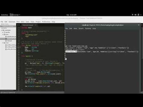 Go Golang Lowercase Key Names With JSON Marshal And UnMarshal YouTube
