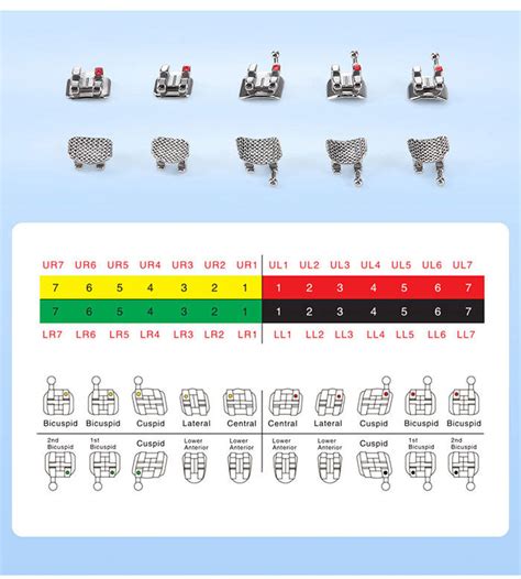 Azdent Plus Dental Metal Brackets Braces Mini Rothmbt 022018 Hooks