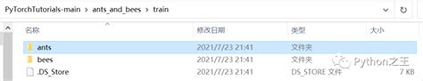 【小白学习pytorch教程】十三、迁移学习：微调alexnet实现ant和bee图像分类 腾讯云开发者社区 腾讯云