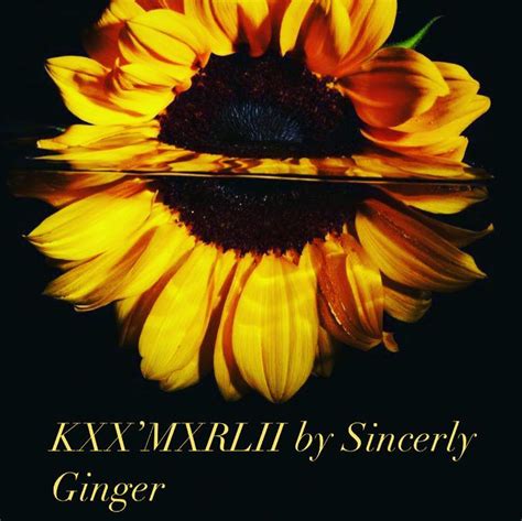 Astoldbyginger