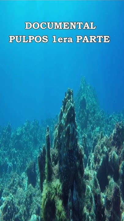 Documental Pupos 1era Parte Suscribete Youtube