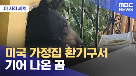 [이 시각 세계] 미국 가정집 환기구서 기어 나온 곰 2024 02 28 뉴스투데이 Mbc Youtube