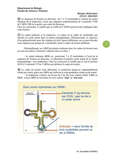 SOLUTION Biol Mol Cours 04 Studypool