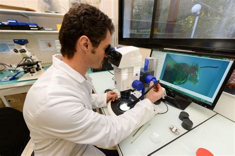 How The Reproducibility Crisis In Academia Is Affecting Scientific Research