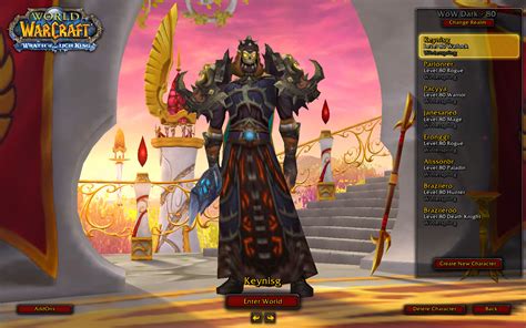 Wow Healer 30 01 11 06 02 11