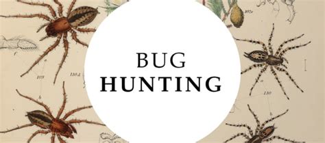 Do Web Application Testing And Vulnerability Assessment On Your Website By Sushacker Fiverr