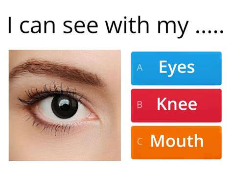 Guess The Body Parts Cuestionario