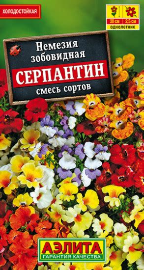 Немезия «Серпантин» — Аэлита