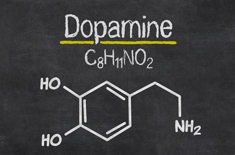 11 Easy Ways To Boost Dopamine Without Medication