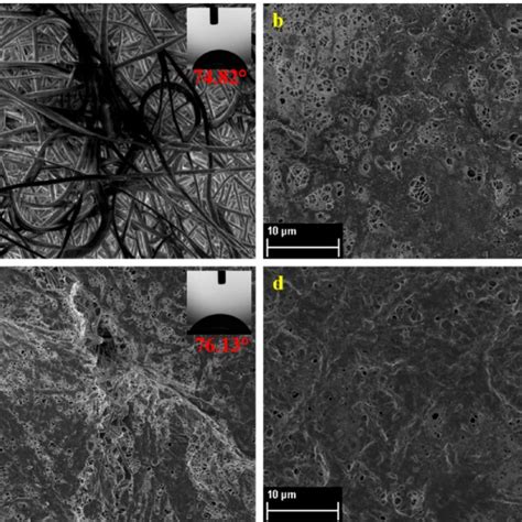 The A B Surface Morphology And C D Cross Section Morphology Of The