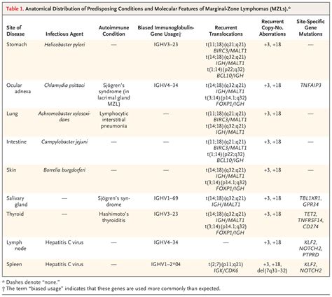 Marginal Zone Lymphomas New England Journal Of Medicine