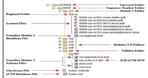 Folder Structure For Ectd Application®