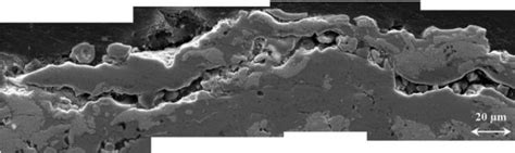 Sem Cross Section Of The 50 Wc Co Cr Composite Coating After 5 H