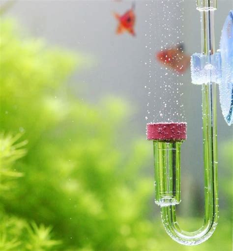 Co2 Hnojenie Rastlín Co2 Hnojenie Rastlín