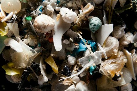 La Contaminación Química Del Plástico Una Amenaza Silenciosa