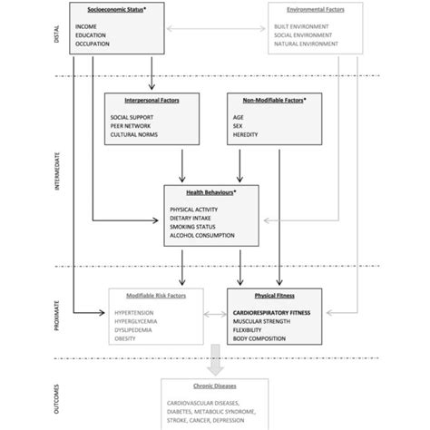Conceptual Framework For Determinants Of Chronic Disease Outcomes With Download Scientific