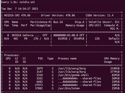 Test Py Runtime Error Issue Maudzung Complex Yolov Pytorch