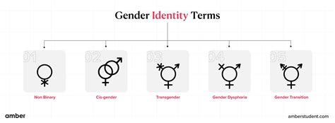 Understanding Gender Identity A Beginners Guide For Lgbtq Amber