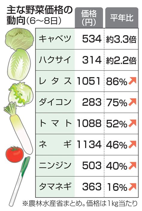 キャベツの価格33倍 天候不順で野菜高騰 ｜ 共同通信