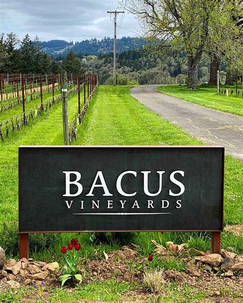 Bacus Vineyards Travel Oregon