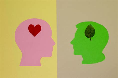 뇌 색 조합 자연 사랑 조합 에코 러브 배경 및 복사 공간 대신 심장이있는 뇌와 분홍색 머리 대신 잎이있는 녹색 종이 머리 2