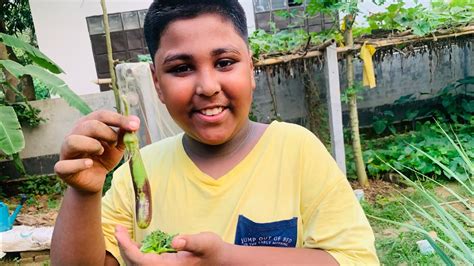 আজ অনেক কাজ করেছি আমার শখের বাগানে। Youtube