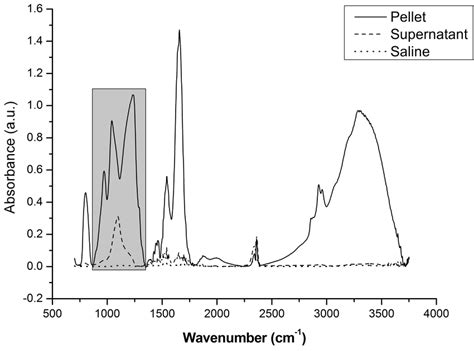 Representative Analysis Of Each Sample Spectra Validation The Solid