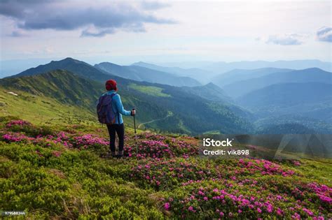 진달래 꽃의 나무와 잔디밭입니다 백 자루와 소녀입니다 흐린 하늘 높은 산 녹색 숲 풍경입니다 에코 관광 휴식 장소 아름 다운