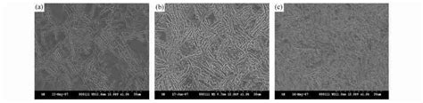 Optical Micrographs Showing Microstructure Of Specimen Austempered At