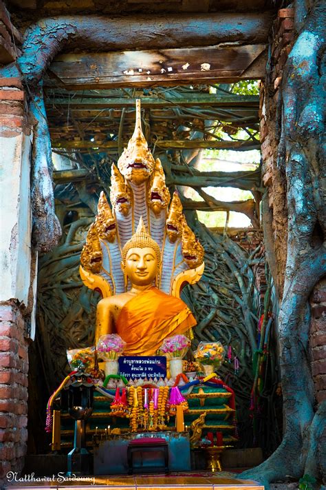 วัดสังกระต่าย จ อ่างทอง Unseen Tour Thailand