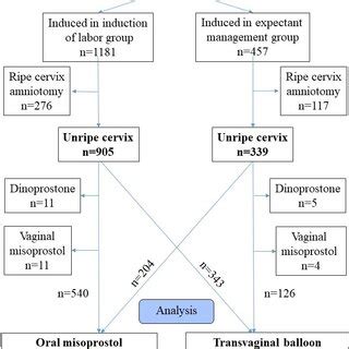 Flow Chart Of Study Population Download Scientific Diagram