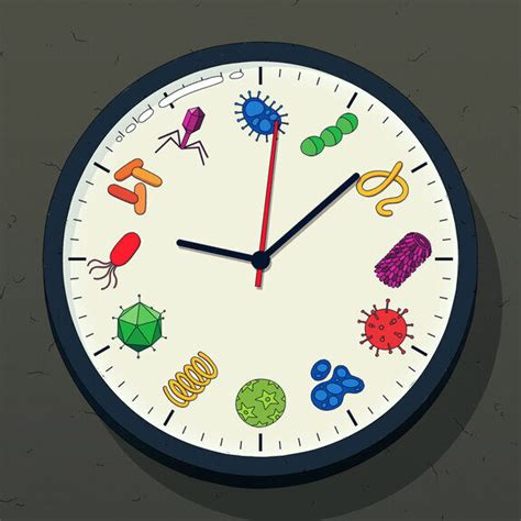 Epidemia significado prevención y diferencias con endemia y pandemia
