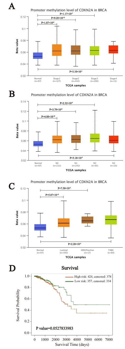 Cdkn2a Mediated Molecular Subtypes Characterize The Hallmarks Of Tumor