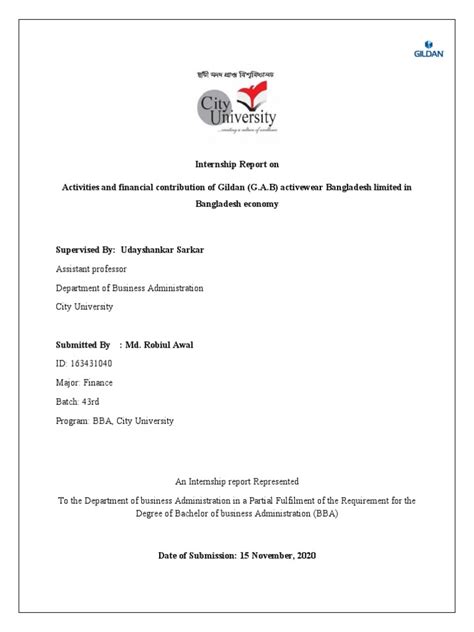 final report of intern pdf