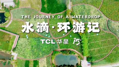 Tcl华星tcl华星