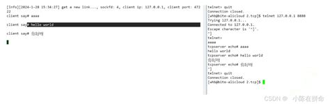 Linux：tcp和守护进程tcp监听做成守护进程 Csdn博客