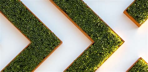 Kritik The Empathetic Professor How To Teach With Empathy