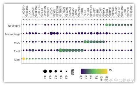 Pyscenic（三）：pyscenic单细胞转录因子分析可视化 知乎
