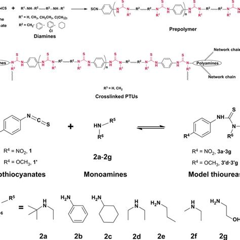 Design Of Polythiourea Networks A Synthesis Of Crosslinked Ptus Download Scientific Diagram