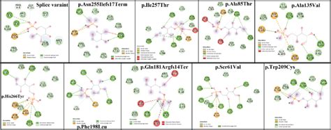 Protein Substrate Docking Of All Mutant Rpia Proteins With Substrate