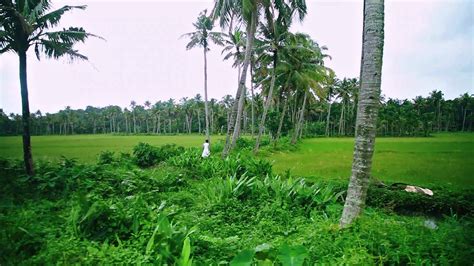 Rouka By Sreejith Jeevan Youtube