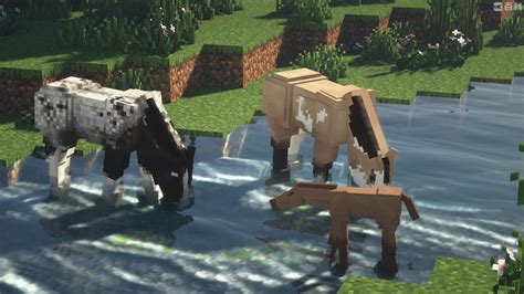 SWEM Star Worm Equestrian Mod MC百科 最大的Minecraft中文MOD百科