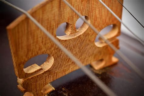 Premium Photo Violin Strings And Violin Body