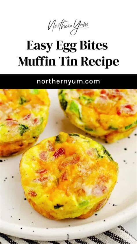 Easy Egg Bites Muffin Tin Recipe Video Recipe Video Healthy