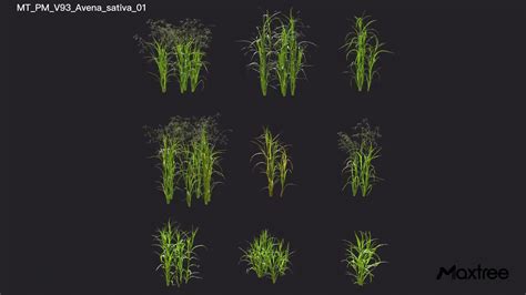 🧄🥕🧅🥔🌶🌽plant Models Vol 93 Release！plant Models Ready For 3dsmax Blender Cinema4d The Last Day