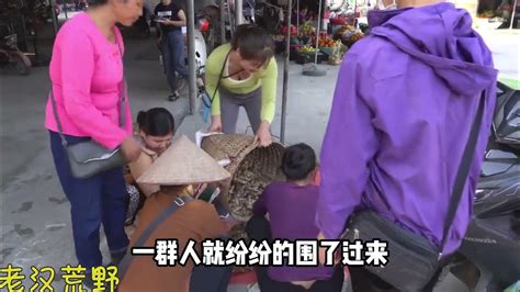 荒野建造： 女人挖取大山中的野生姜和采摘大树上的木瓜花 Youtube