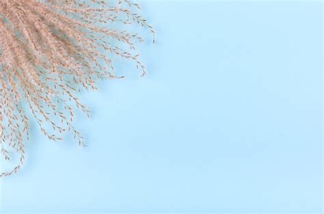 잎 구성입니다 자연 컨셉 배경입니다 평면 배치 및 상단 사진 보기 0명에 대한 스톡 사진 및 기타 이미지 0명 가을 개념